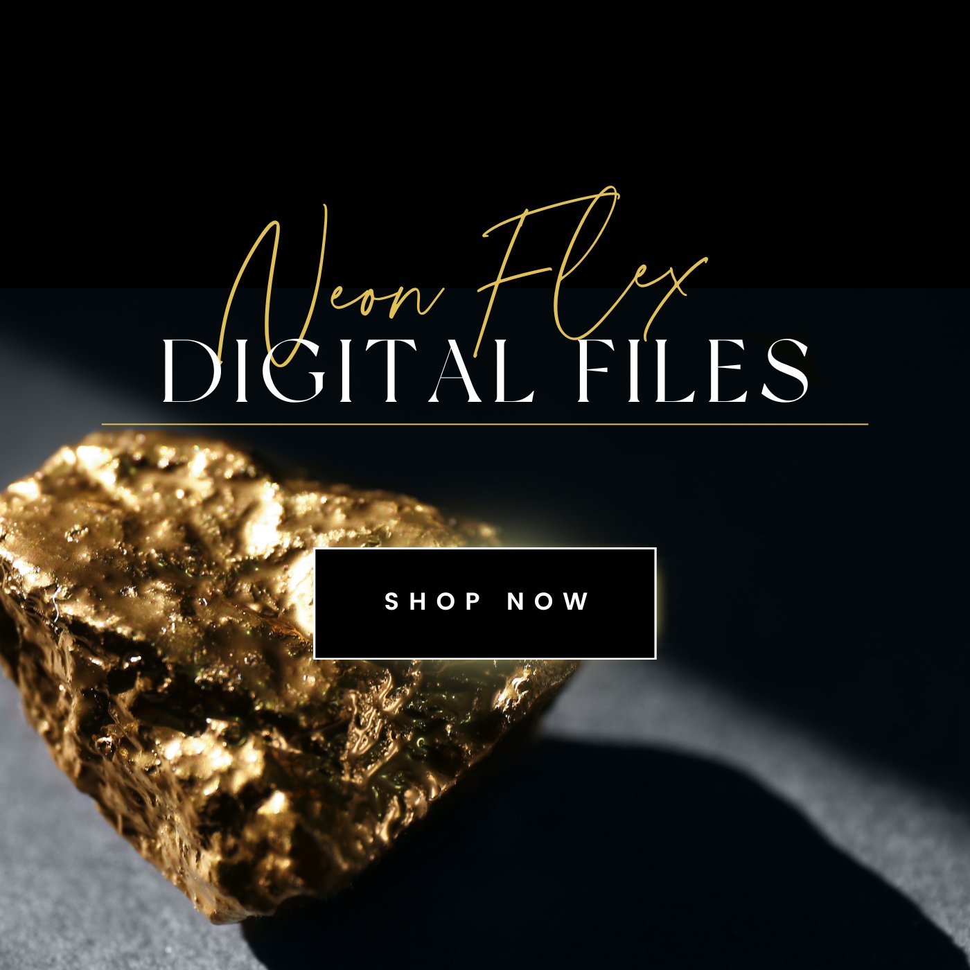 Neon Flex Files – Reigning Memories